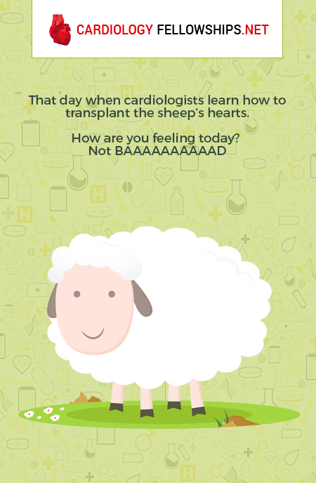 Funny Cardiology